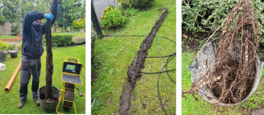 Root Cutting in Hertfordshire - Contact Us Now | Draincall